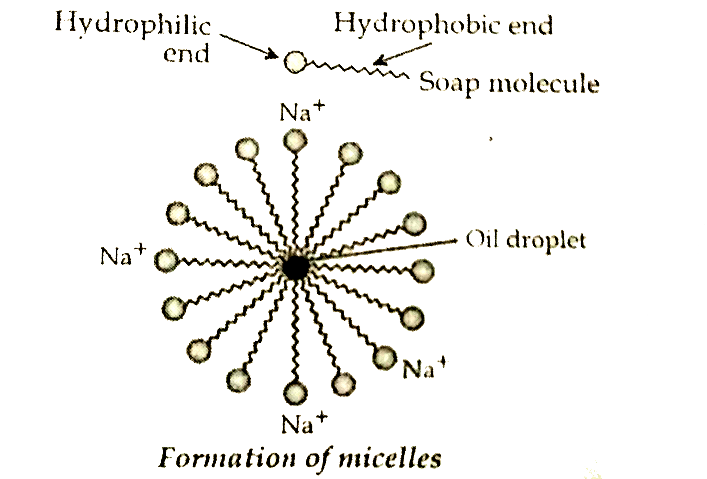 Both soap and detergent are some type of salts. What is the difference ...