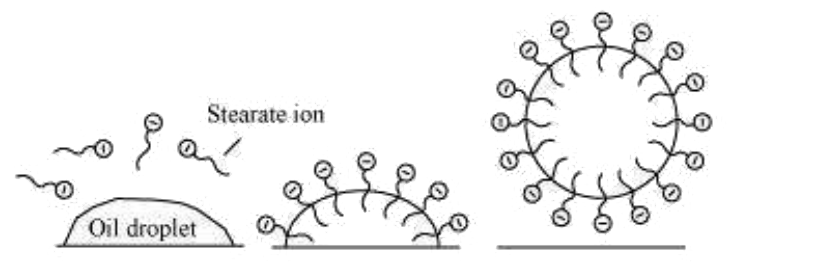 Explain the cleansing action of soaps. - Sarthaks eConnect | Largest ...