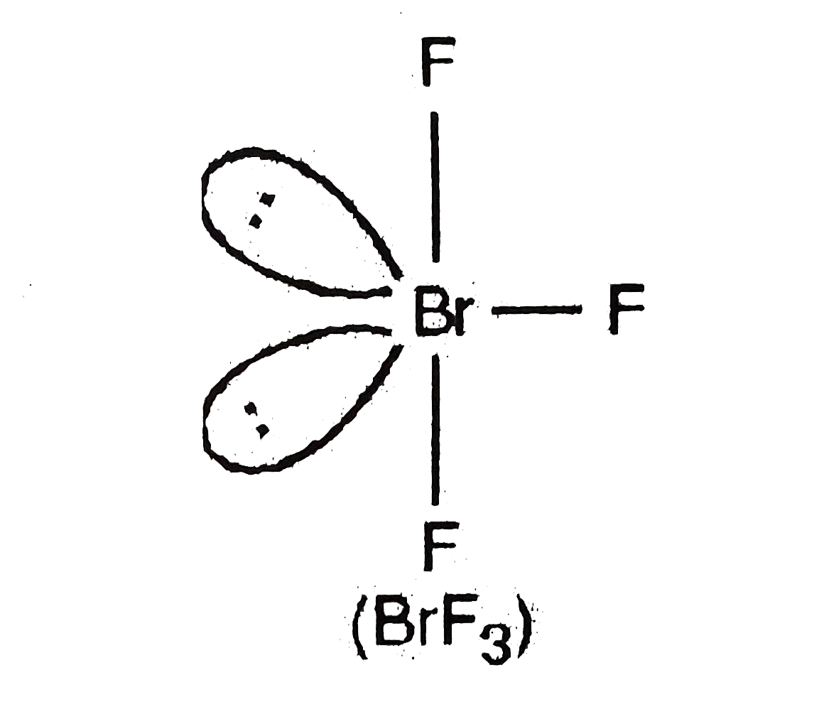 In `BrF_(3)` molecule, the lone pair occupies equatorial position ...