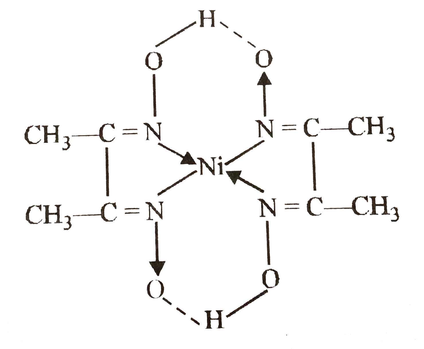 How many H-bonds are present in the complex entity formed by `Ni^(2 ...