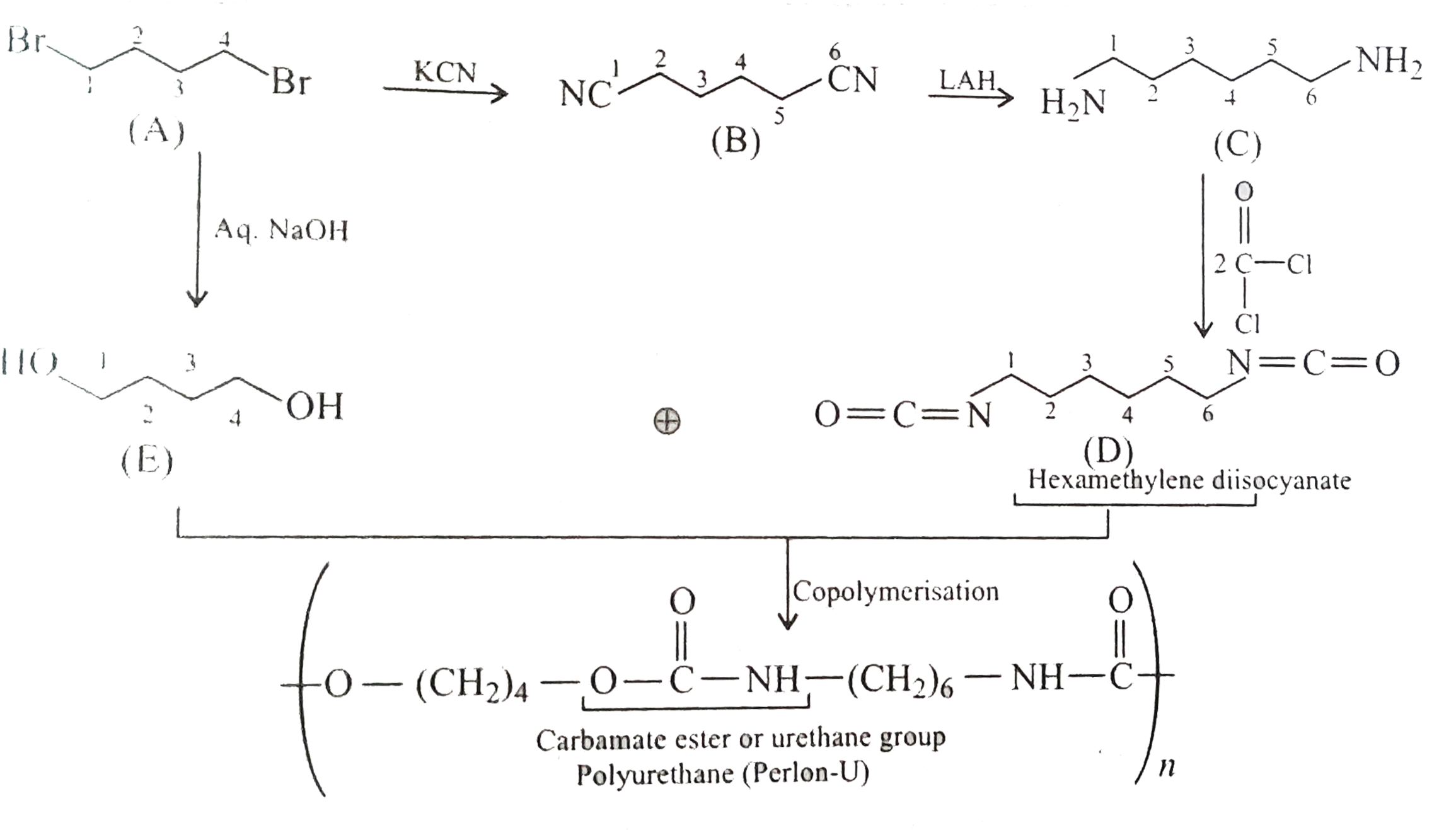 Compound(C ): - Sarthaks eConnect | Largest Online Education Community