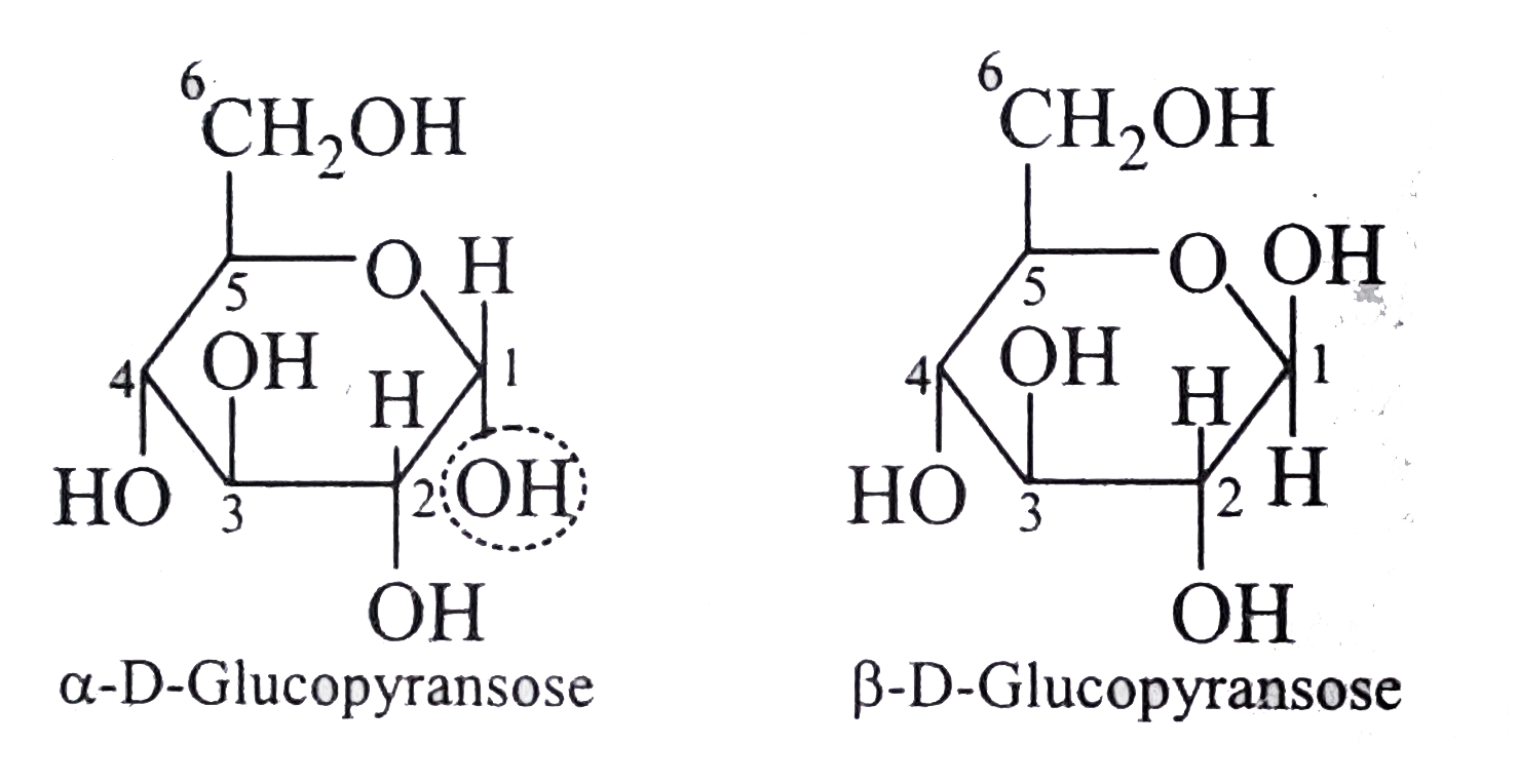 The Two Forms Of D glucopyranose Obtained From Solution Of D glucose the-two-forms-of-d-glucopyranose-obtained-from-solution-of-d-glucose