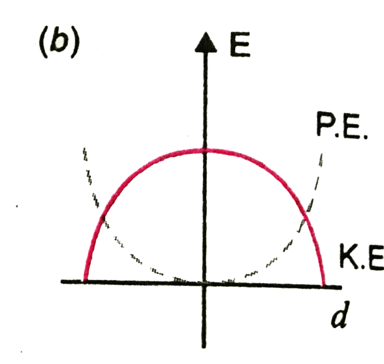 For a simple pendulum, a graph is plotted its kinetic energy (KE) and ...