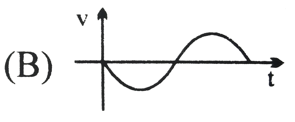 If Position Time Graph Of Particle Is Sincurve As Shown What Will Be If Position Time Graph Of Particle Is Sincurve As Shown What Will Be