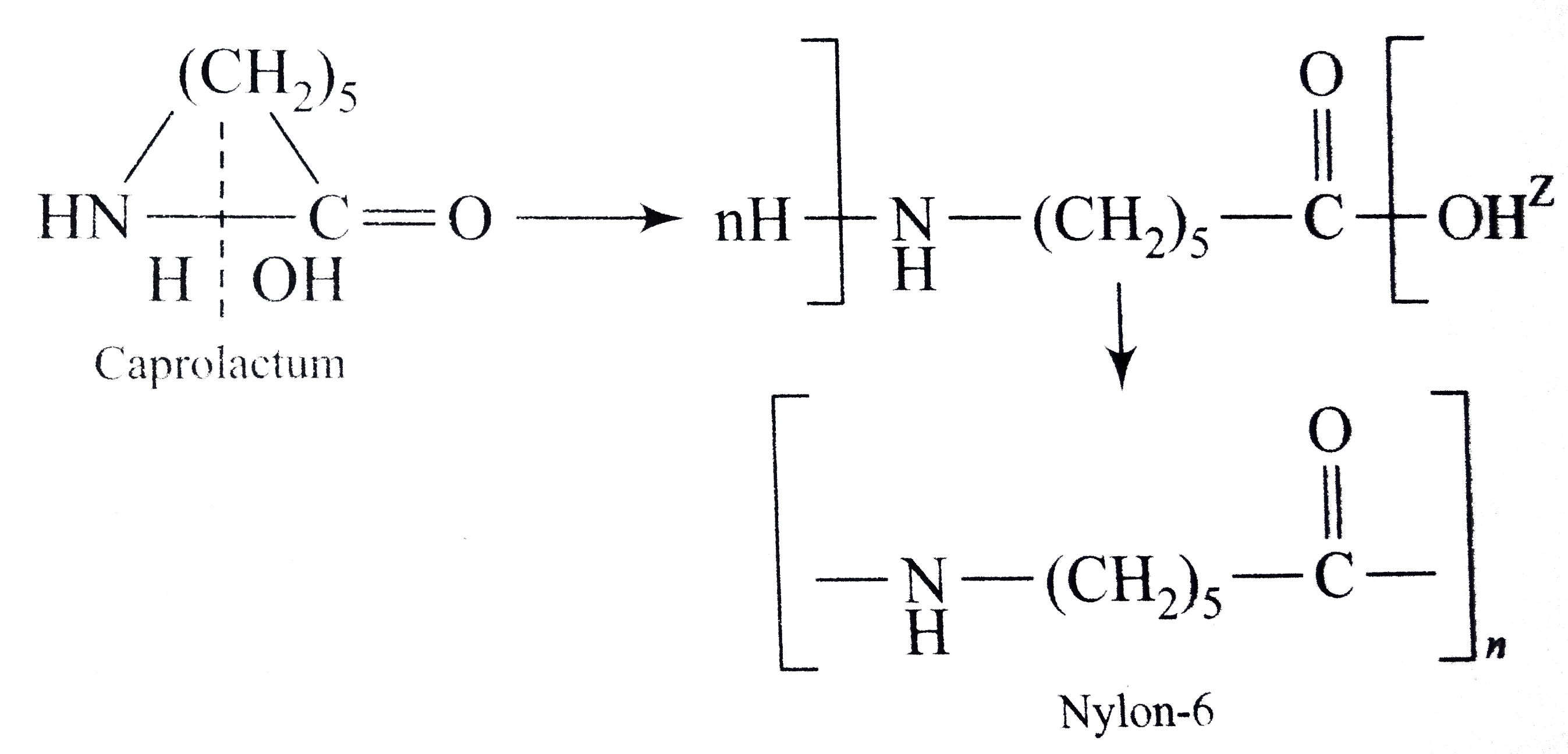 Caprolactam is used for the manufacture of `:` - Sarthaks eConnect ...