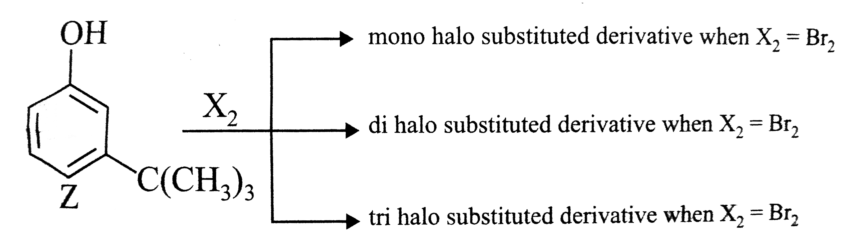 The Reactivity Of Compound Z With Different Hologebs Under Apppropriate Conditions Is Give The Reactivity Of Compound Z With Different Hologebs Under Apppropriate Conditions Is Give
