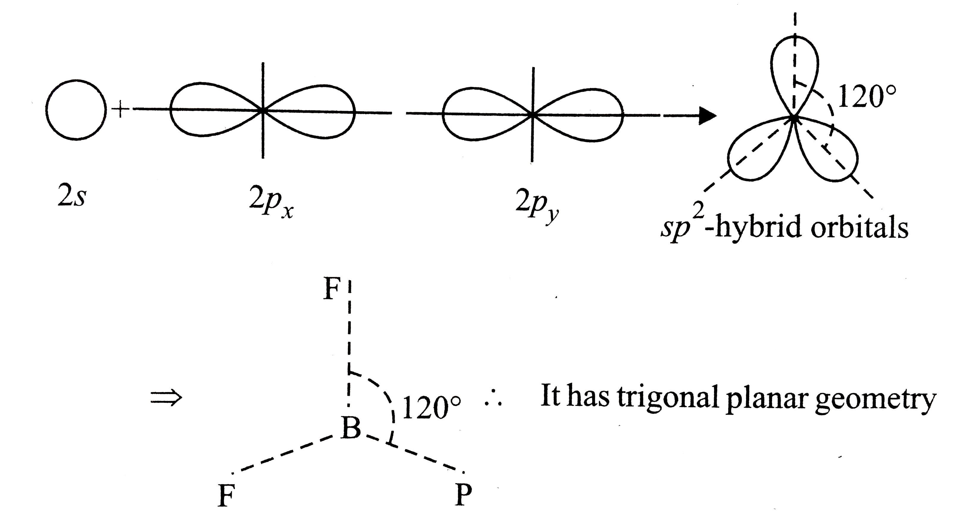 Which molecule has trigonal planar geometry ? - Sarthaks eConnect ...