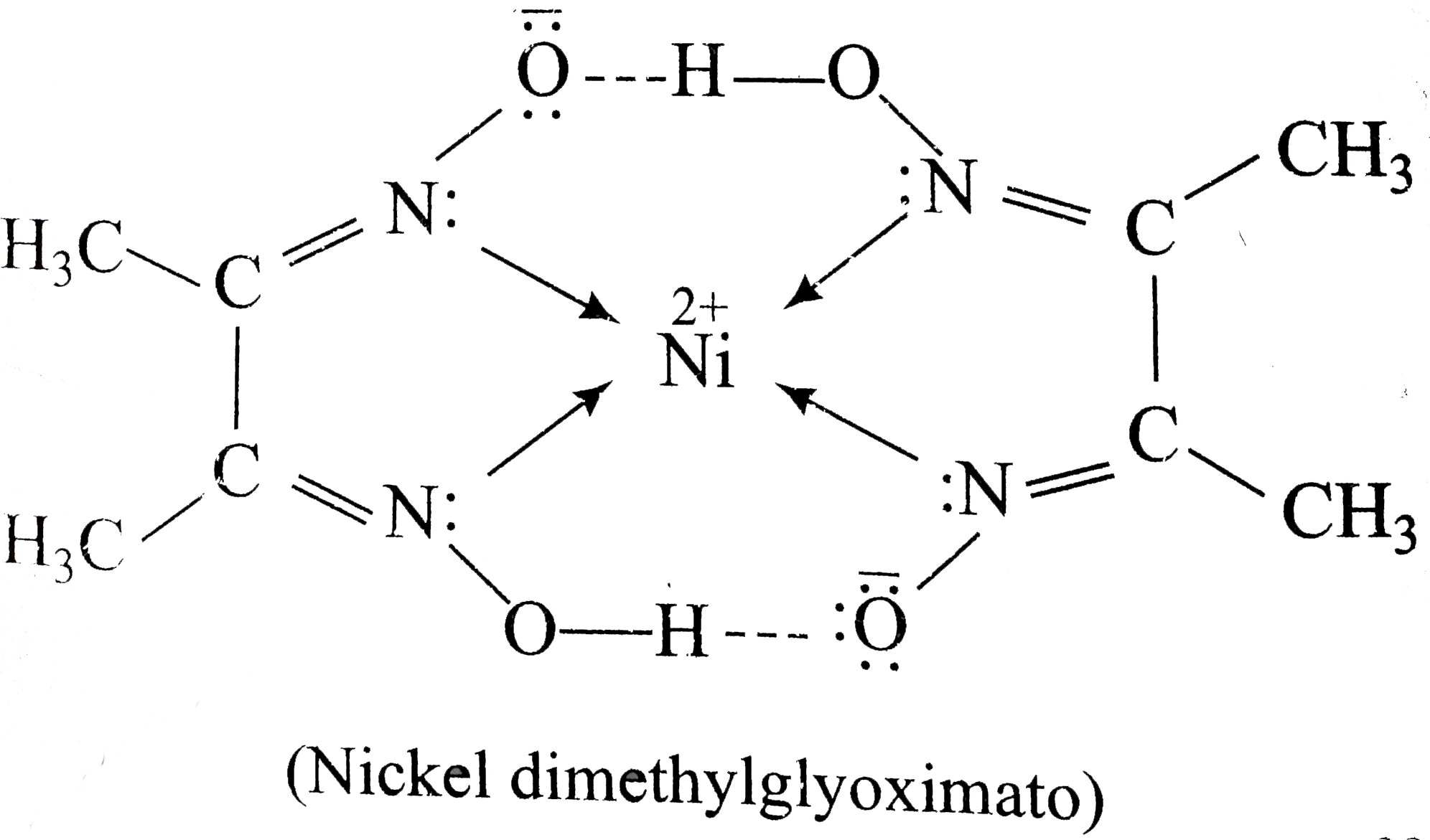The IUPAC name of the complex `Ni[C_(4)H_(7)O_(2)N_(2)]` formed by the ...