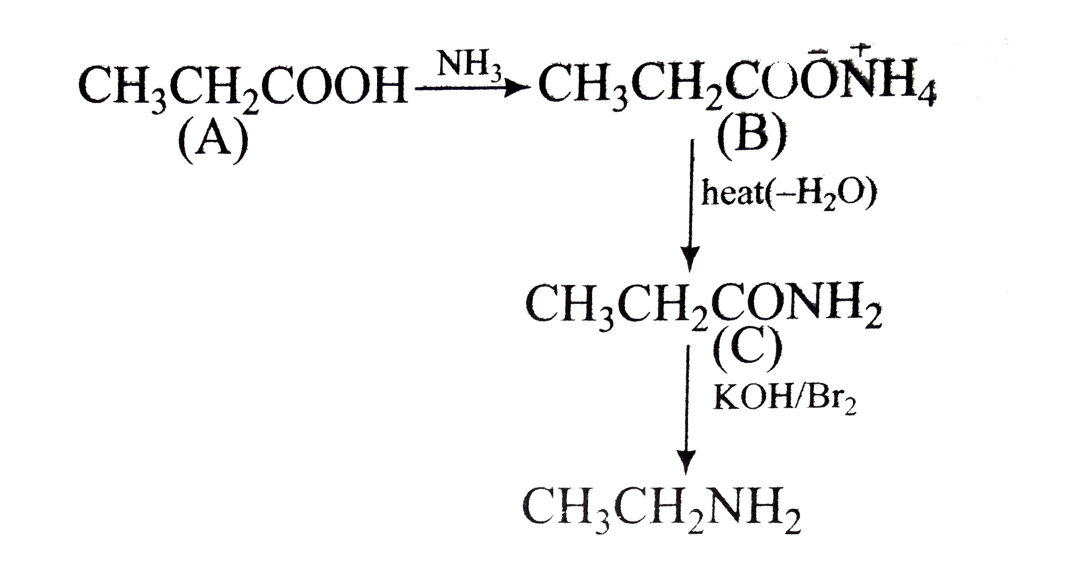 An orgainc compound A upon reacting with `NH_(3)` gives `B` On heating ...