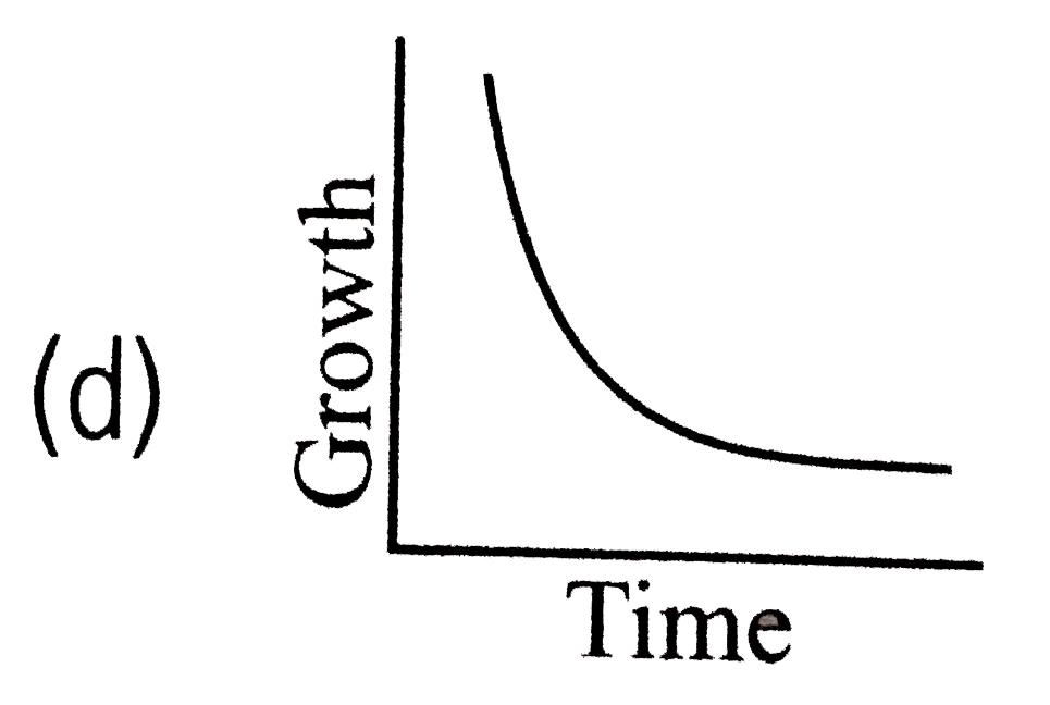 Which one is the correct graph for arithmetic growth? - Sarthaks ...