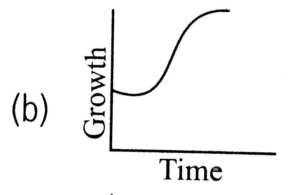 Which one is the correct graph for arithmetic growth? - Sarthaks ...