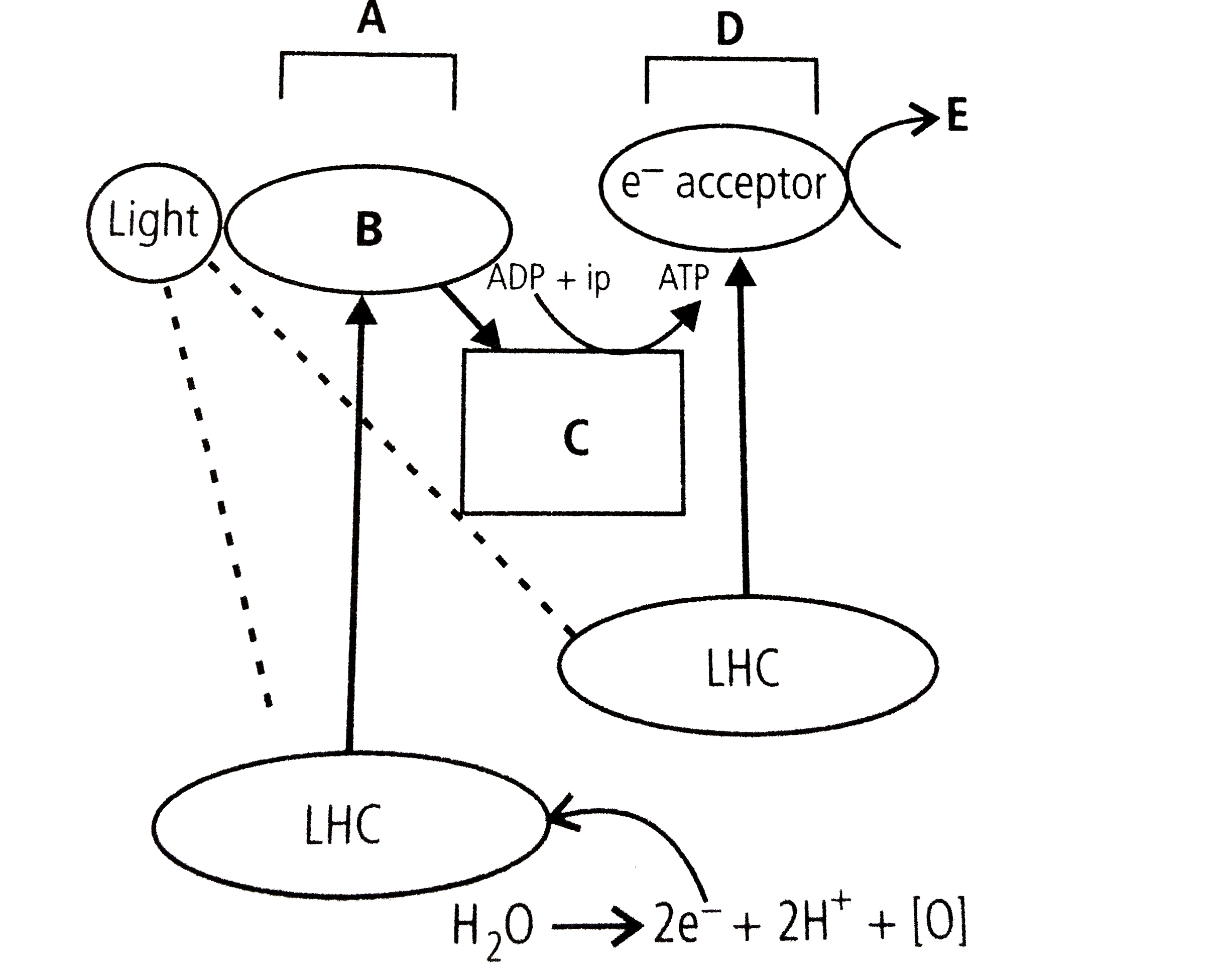 Identify A,B,C,D and E in the given flow chart showing Z-Scheme of ...