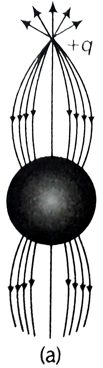 a-point-positive-charge-is-brought-near-an-isolated-conducting-sphere