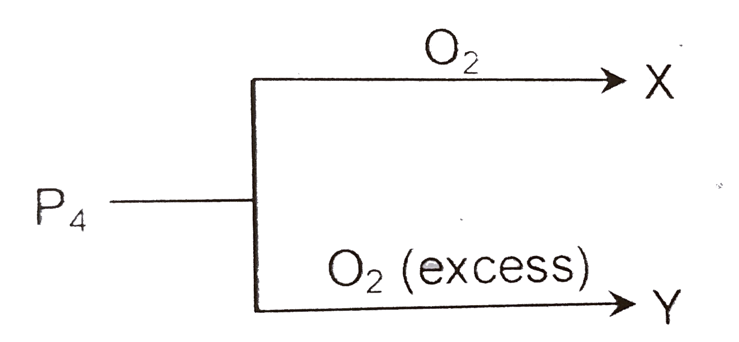 Choose the correct option regarding `d_(p - o)` (single bond length ... Choose the correct option regarding `d_(p - o)` (single bond length ...