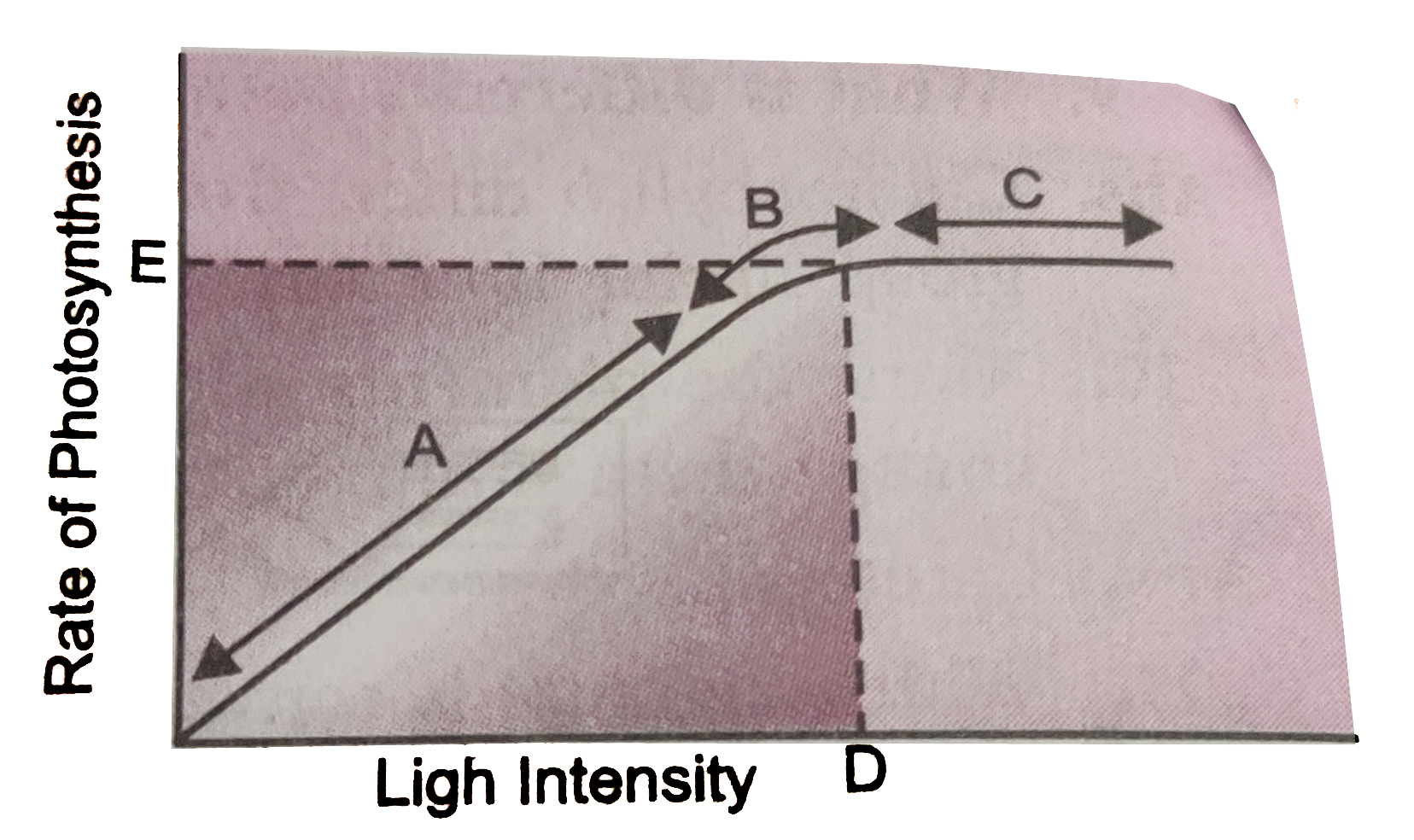 Figure shows, the effect of light on the rate of photosynthesis Based ...
