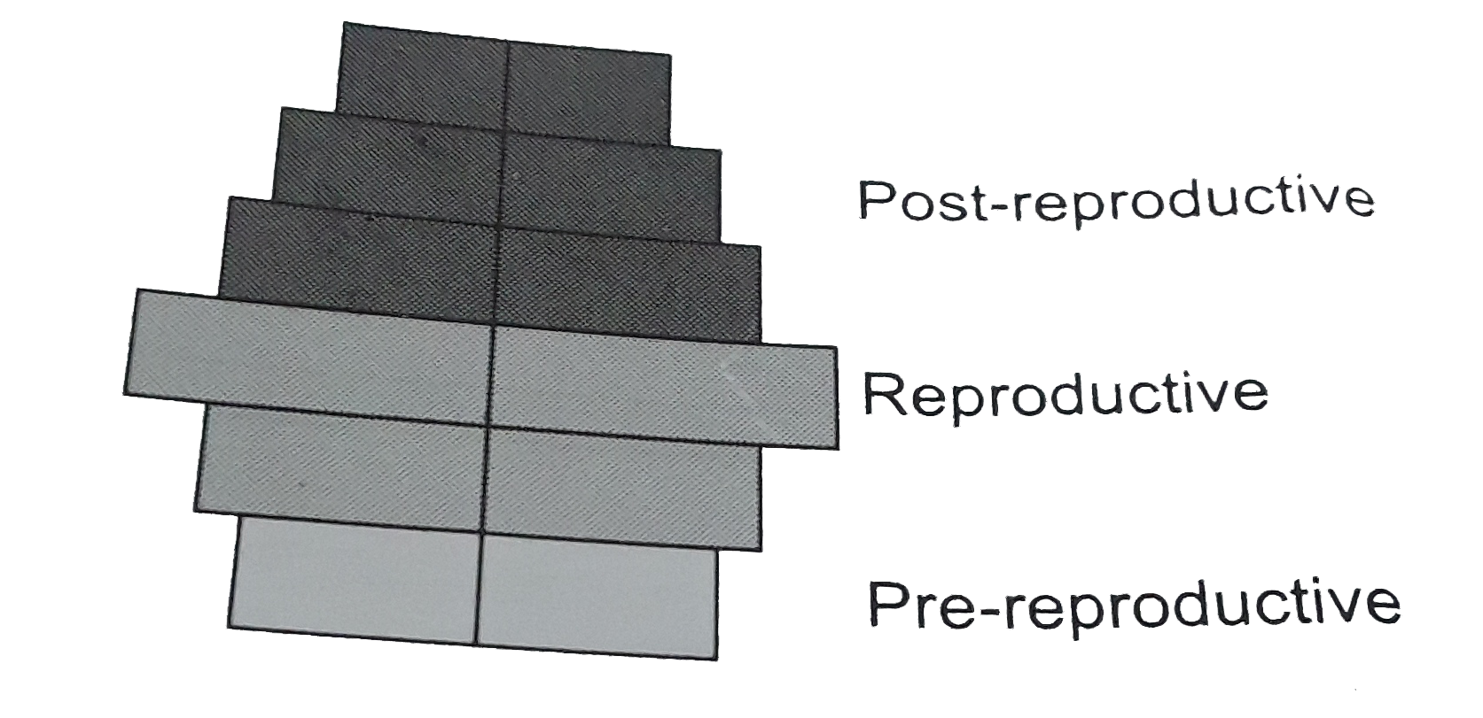 What type of human population is represented by the following age ...