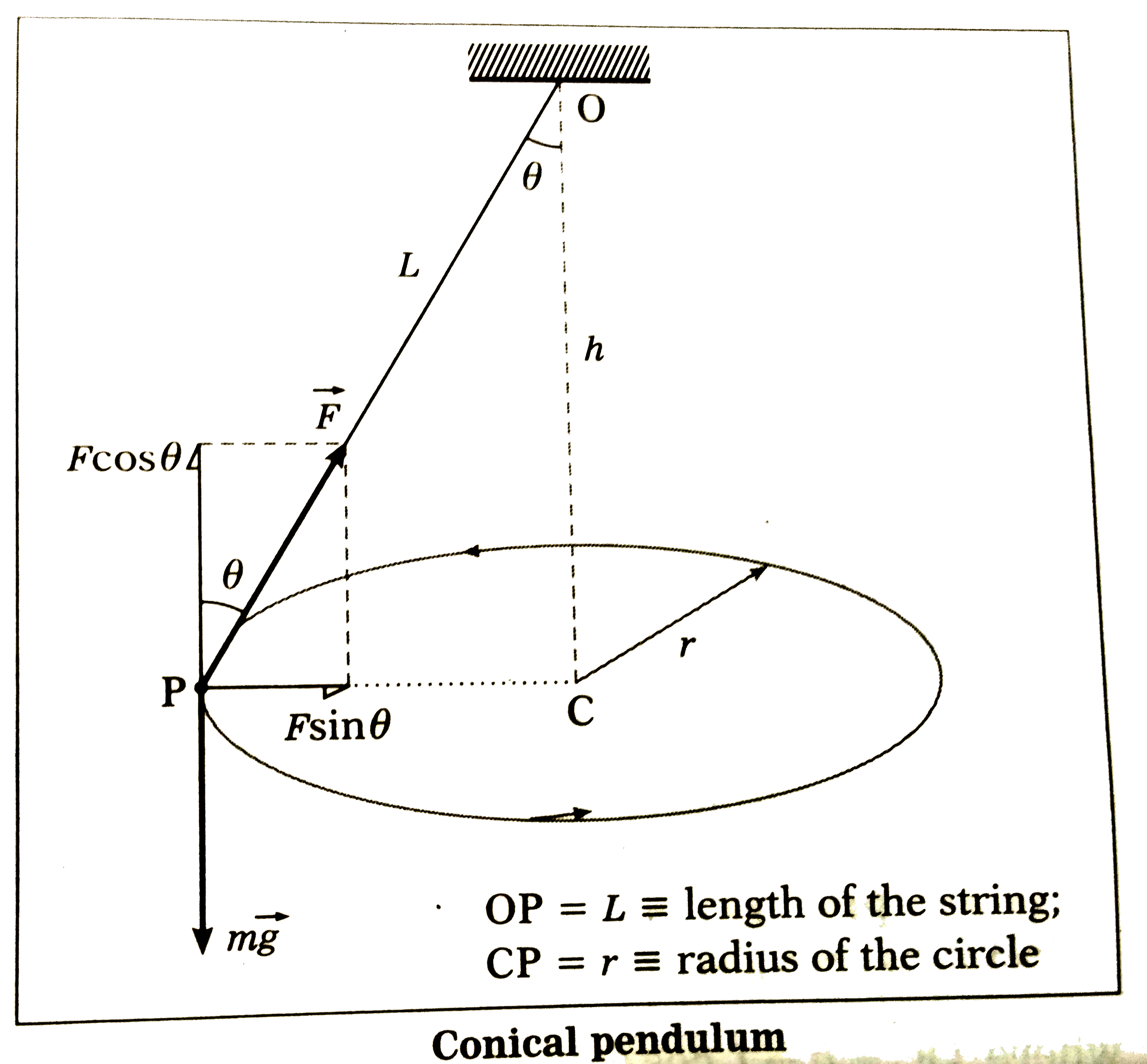 What is a simple pendulum? Find an expression for the time period and ...