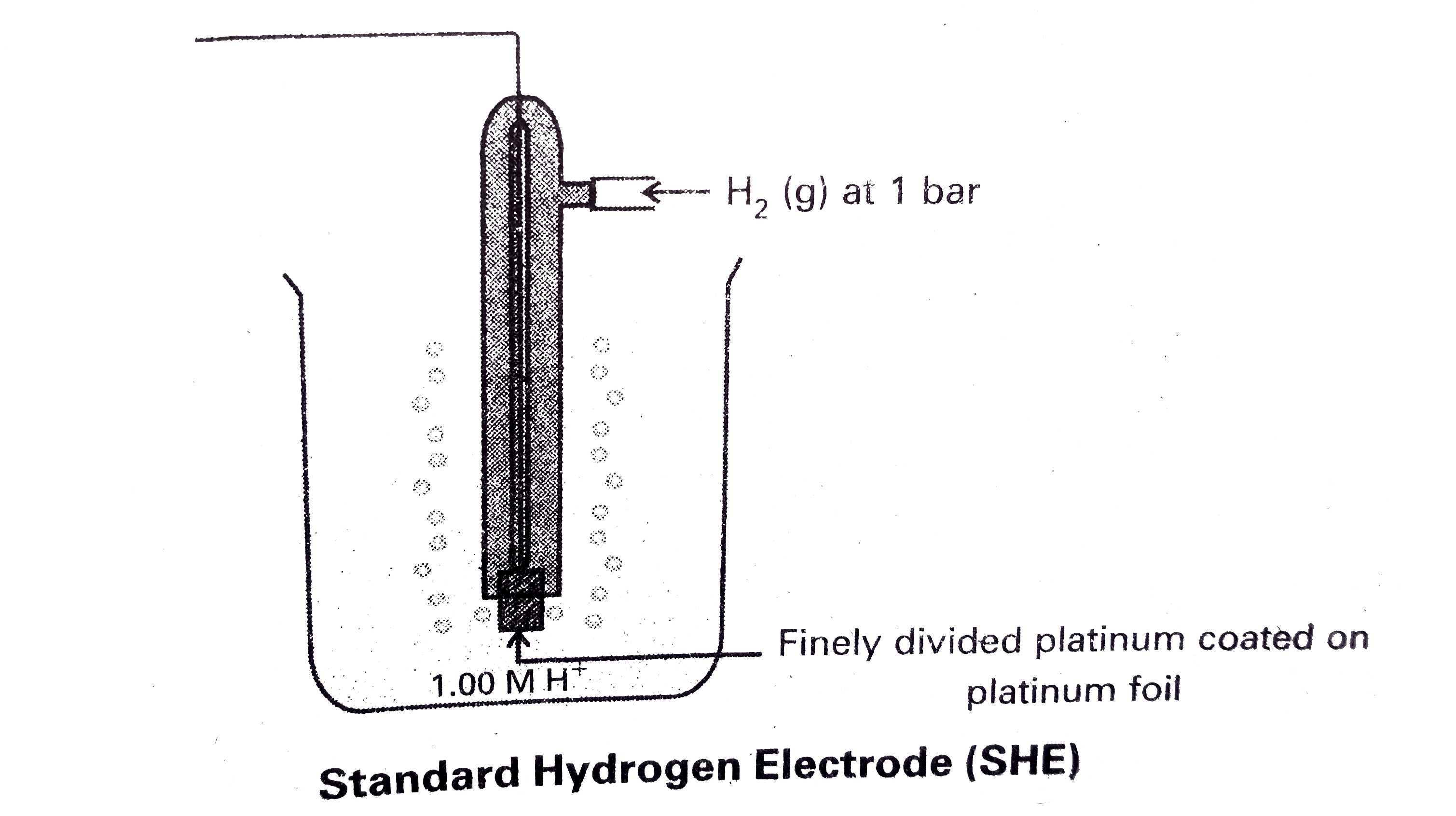Give a neat sketch of standard hydrogen electrode. - Sarthaks eConnect ...
